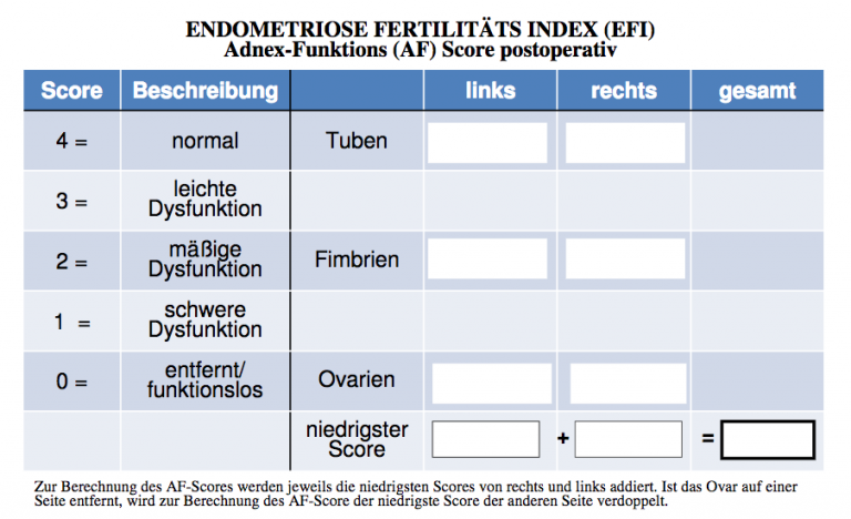 Klassifikationen - Stiftung Endometriose Forschung